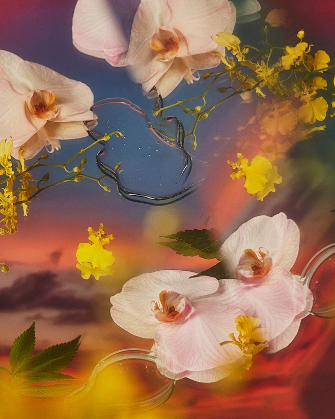 STEPHANIE GONOT PHOTO-花瓣网