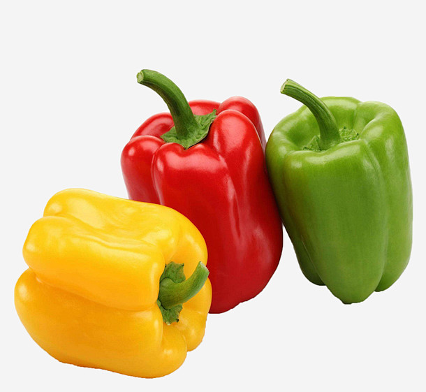 彩色的柿子椒_新图网 https://ixintu.com 柿子椒 彩色 蔬菜 PNG素材