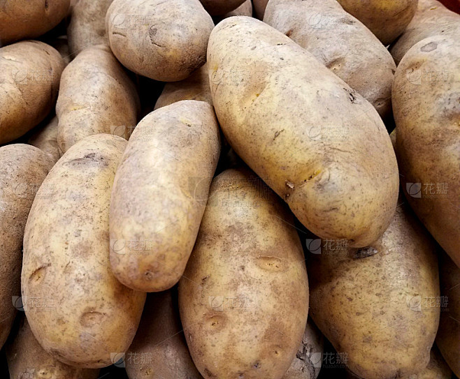 生土豆的特写