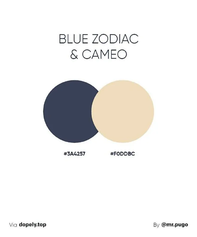 一组优雅高级感双色搭配~ by mr.pugo #配色# -花瓣网