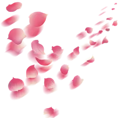 千库网_蓝色科技感标题姓名条边框_元素编号13505766-花瓣网