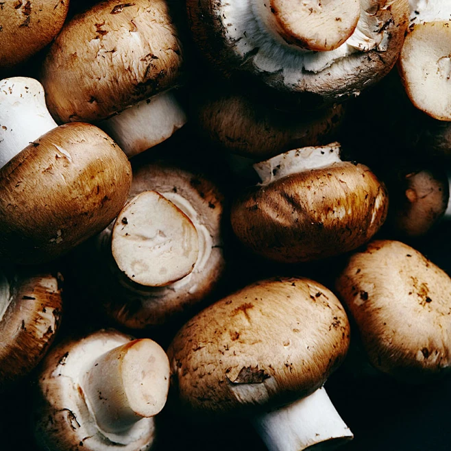 Top Creative Work On Behance : Showcase and discover creative work on ...