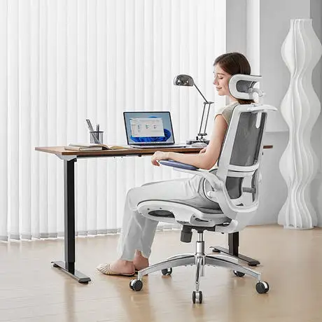 Discover Superior Ergonomics with Sihoo Doro S300 and Sihoo D03 ...
