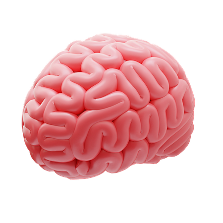 Brain 3D Icon
