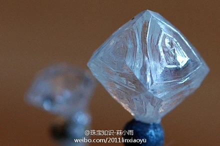 kuangshi (210)-花瓣网