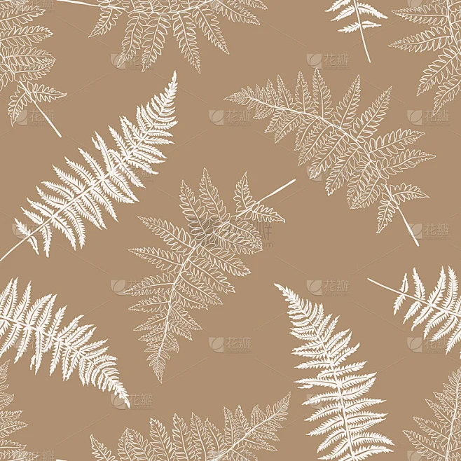 Vector botanical illustration of fern leaf. Isolat素材-花瓣网
