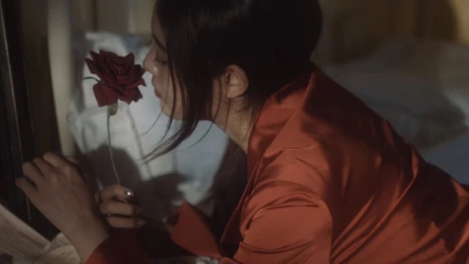 A ROSE IS A ROSE IS A ROSE - CHAUYUKTIN - CNU视觉联盟-花瓣网