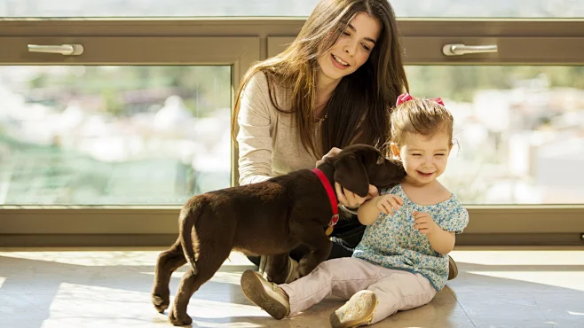 364364-puppies-puppy-baby-dog-dogs-29-花瓣网