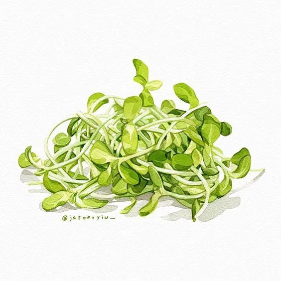 (196) Pinterest-花瓣网