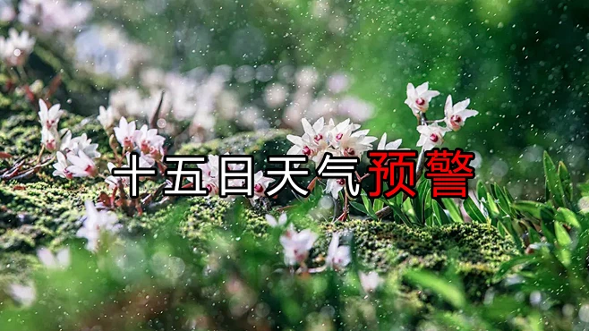 0512-云朵天气-图-11-dqy-花瓣网