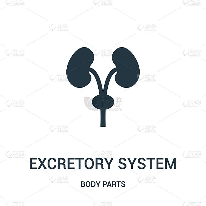 excretory system silhouette icon vector from body 素材-花瓣网