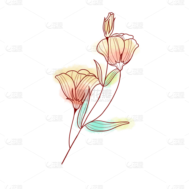 简约线条花朵插画元素