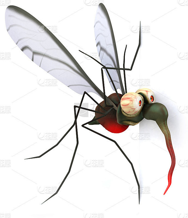 有趣的蚊子
