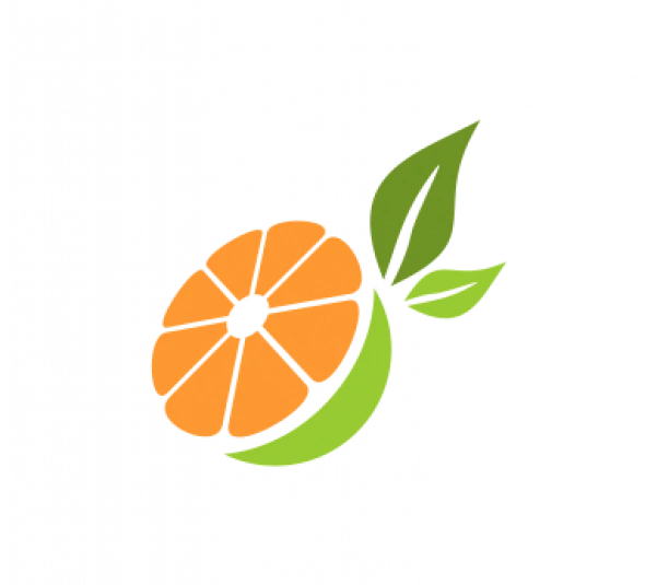 Romisriyoool: I will do modern minimalist logo design for $25 on fiverr ...