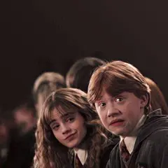 哈利波特-花瓣网