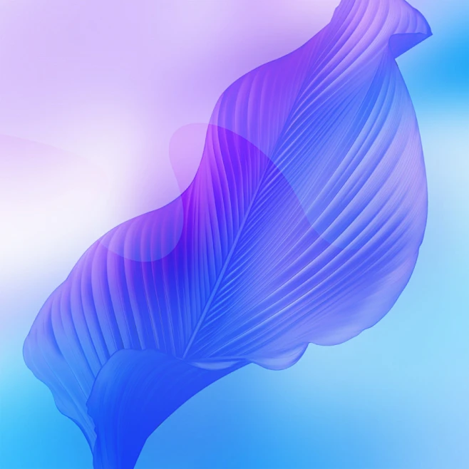 华为畅享20 Pro图片_壁纸图片素材-花瓣网