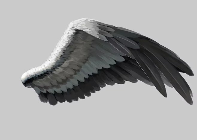 画师 0.1up project 的翅膀教程 ‎ ‎ ‎ ‎ ‎ 画翼族人外的小画手一定要马住！