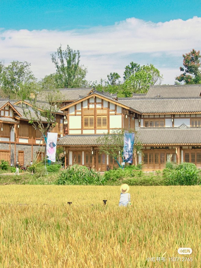 XHS_1663054339273ef28b471-2b11-3835-8e0f-d89025b8c9e3