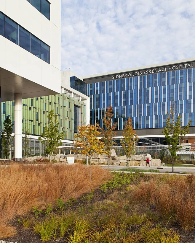 The CommonGround and Sky Farm at Eskenazi Health Hospital by DAVID RUBIN Land Collective ...