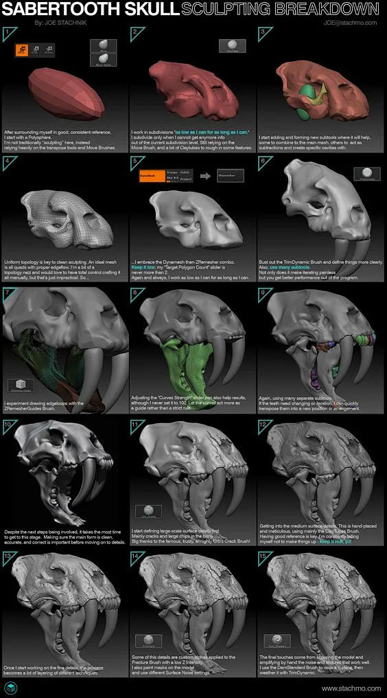ArtStation - Sabertooth Skull, Joe Stachnik (Stachmo)-花瓣网