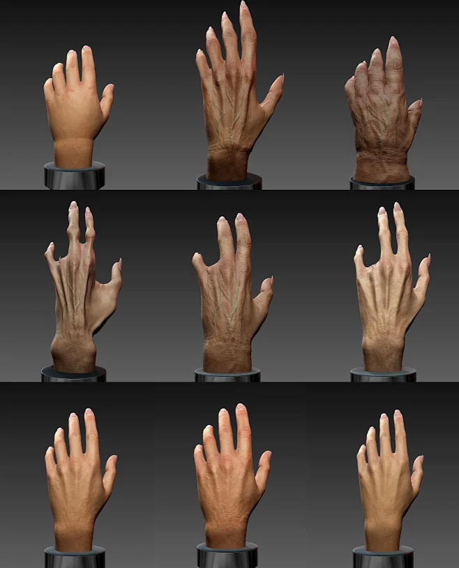 Human Zbuilder - Hand : HUMAN ZBUILDER-HAND THE EASY WAY TO MAKE HUMAN ...