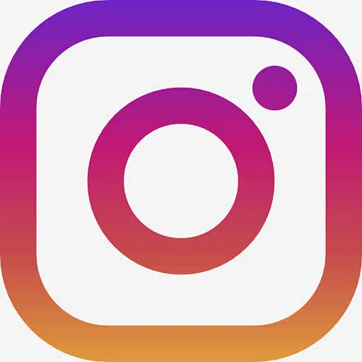 Instagram图标_新图网 https://www.88icon.com-花瓣网