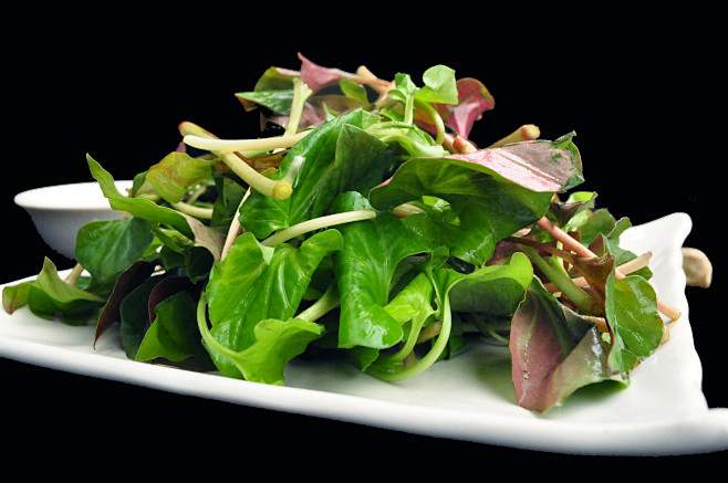 1404折耳根折耳根