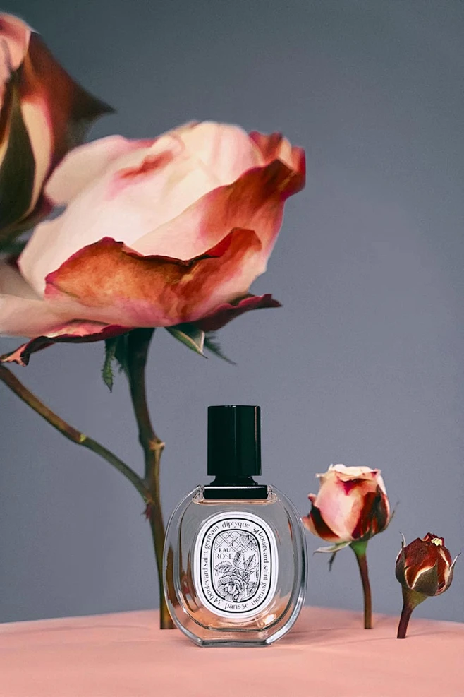 image_big_rose_o_1grvcicjv7j3122h1lv6gr4cqj1o