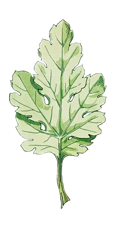 YUKI-穆夏 (122)-花瓣网