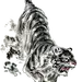 水墨猛虎下山-花瓣网