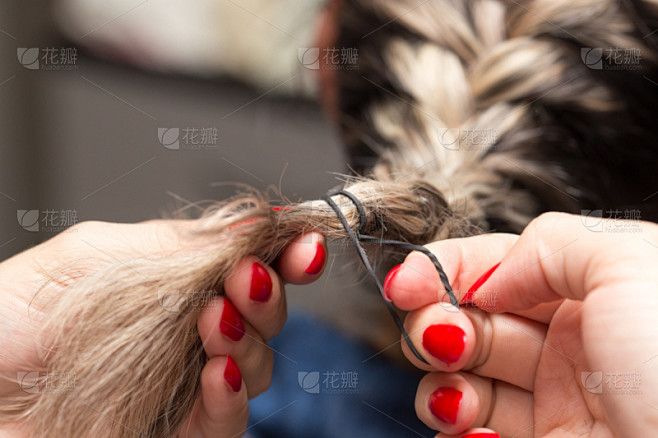 美容院,发辫,麻花辫,塞萨洛尼基,白色,哈萨克斯坦,健康保健工作人员,人,图像,人的头部