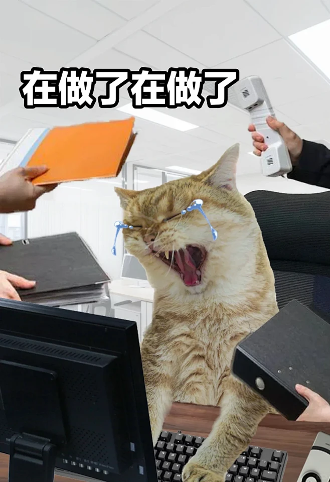 ‖组图｜上班不就是为了下班吗 - 小红书-花瓣网