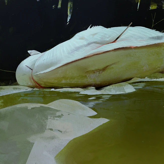 {国外}美国 Adrian Bush-花瓣网