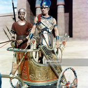 Dan Rohanna, Wilhelmina Fitness Model. - Visit www ...