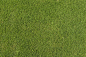 General 2160x3840 gradient minimalism texture