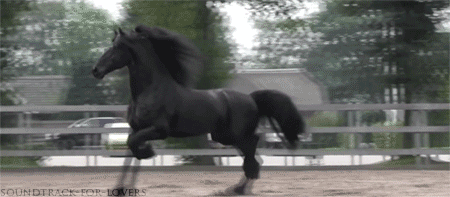 barebackbaby741: trot-diagonal: soundtrack-for-lovers: Mammy, buy me a ...