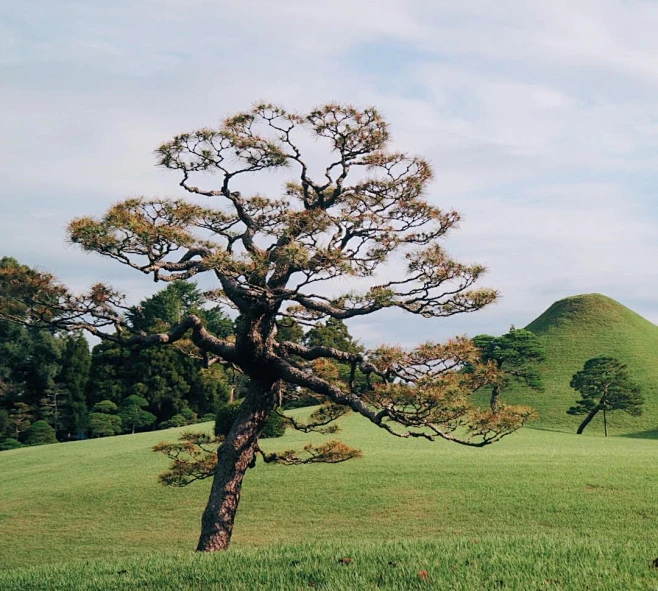 花瓣灵感详情页-花瓣网