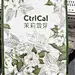 Vangoal-跟着坚果游中国—新疆_FG包装设计实验室-Z_e5ca4b55-花瓣网