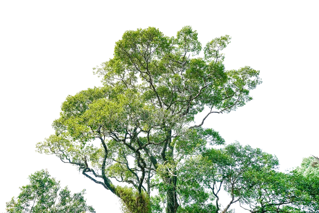 花瓣灵感详情页-花瓣网