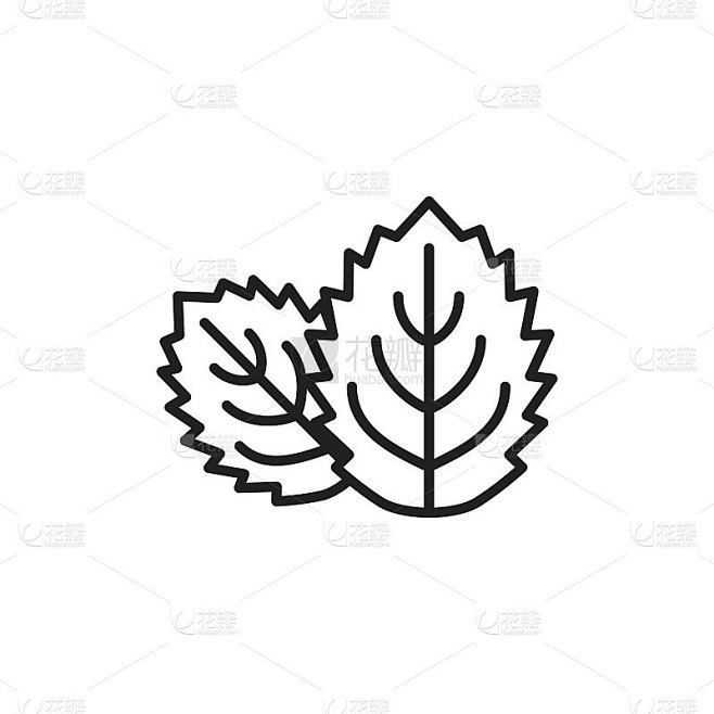 Mint icon图片_其他图片图片素材-花瓣网