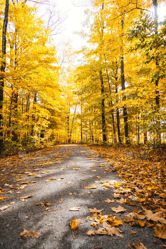 花瓣素材详情页-花瓣网