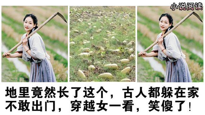 女-古言-大图-无-26LSQ-1222 (4)