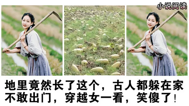 女-古言-大图-无-26LSQ-1222 (4)-花瓣网