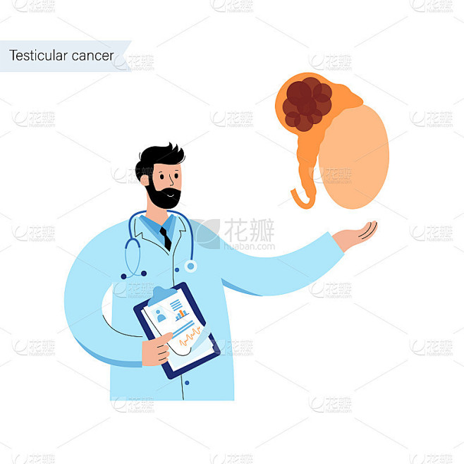 人类生殖系统问题