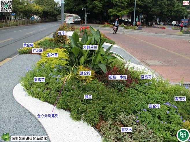 交通岛、道路、花境：深圳道路渠化岛绿化(2022年1月)-花瓣网