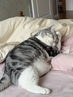 花瓣灵感详情页-花瓣网