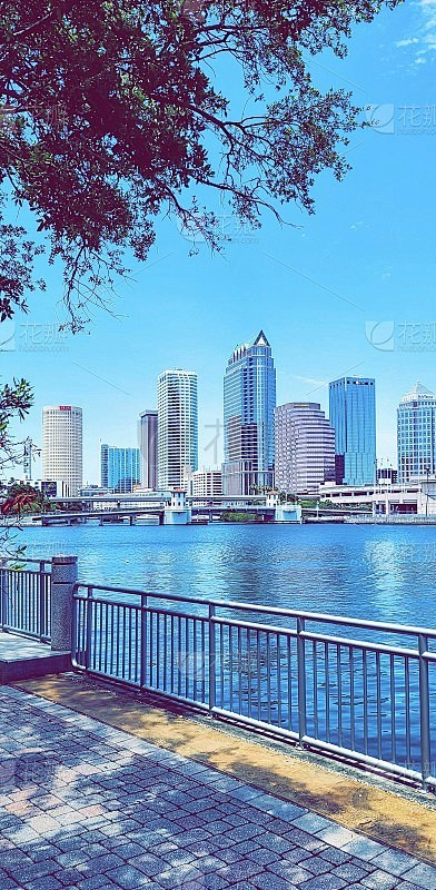 坦帕市中心-水上城市景观