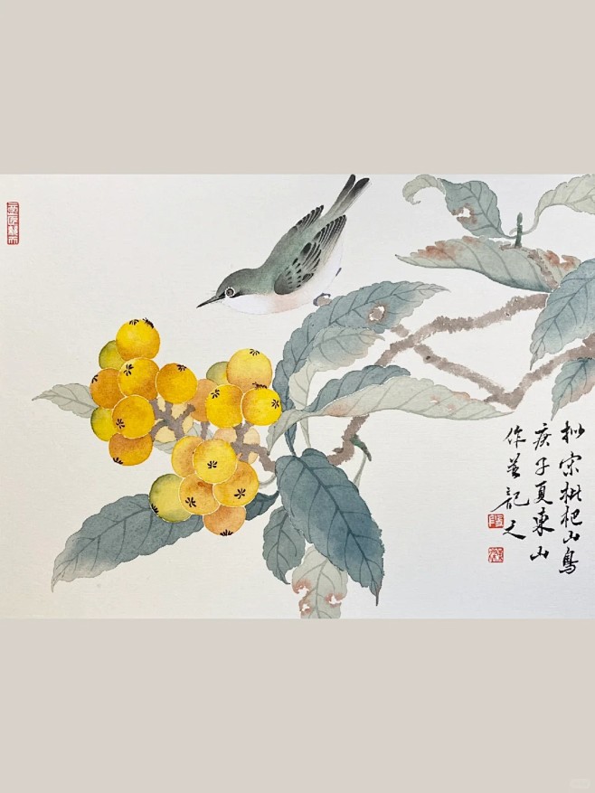 没骨转换·枇杷山鸟图_1_国画段东梁（招生）_来自小红书网页版