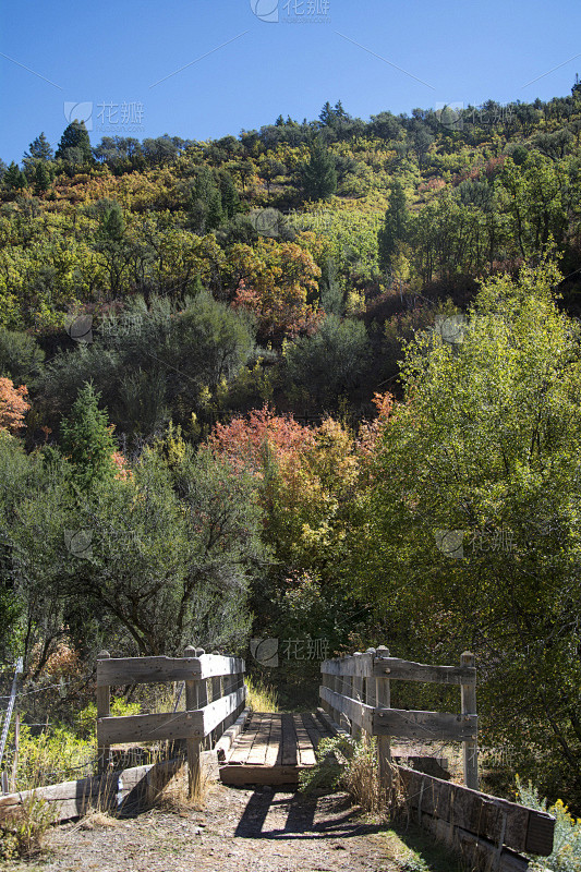 水,湖,犹他,山脉,瓦萨屈山脉,垂直画幅,天空,美,美国西部,洛矶山脉