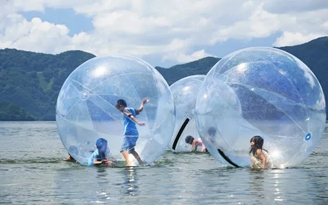 webp.webp (28)-花瓣网